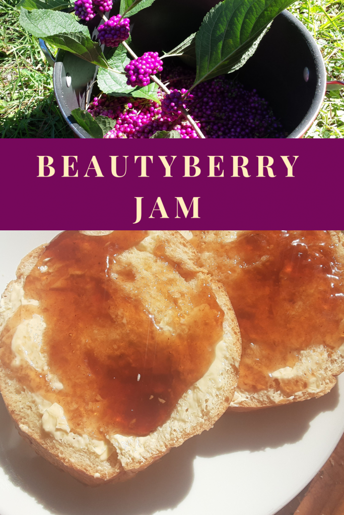 How to Make the Best Jam from Beautyberries. - Good Enough And Stuff